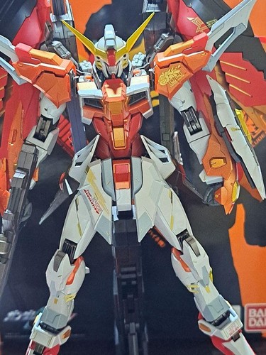 METAL BUILD Destiny Gundam Heine Custom Figure Tamashii Nation 2015 | eBay
