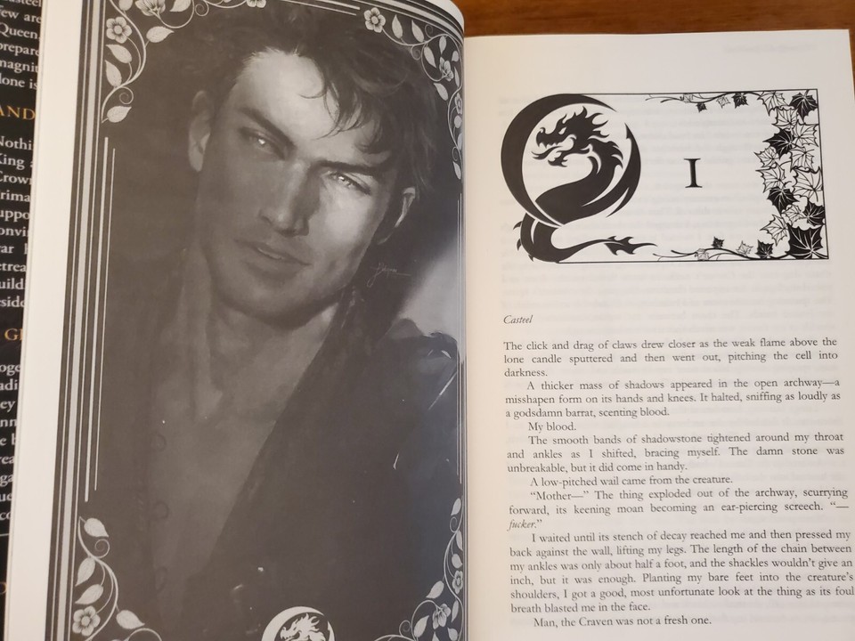 Fairyloot Exclusive From Blood and Ash series FBAA Jennifer Armentrout ...