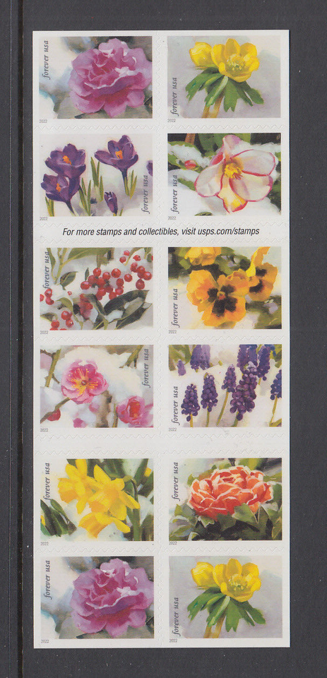 US #5736b Snowy Beauty Complete DS Booklet of 20 Forever Mint Never ...