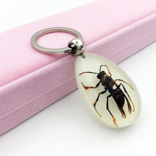 Amber Scorpion Fossil Insects Manual Polishing Lucky Ornaments key ...
