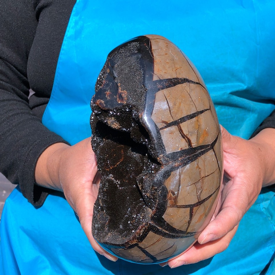 6.53LB Natural Turtle Back Hole Shape Dragon Crystal Crack Gem Reiki ...