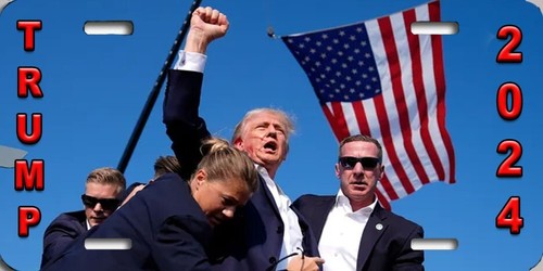 TRUMP 2024 Butler PA Never Surrender Fist Pump Fight car truck license ...