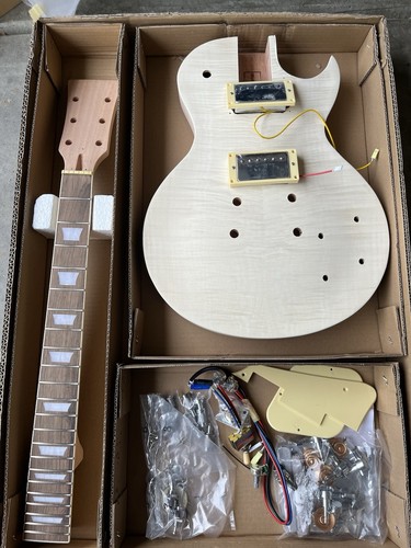 LP Style Electric Guitar DIY Kit Flame Top LEO JAYMZ | eBay