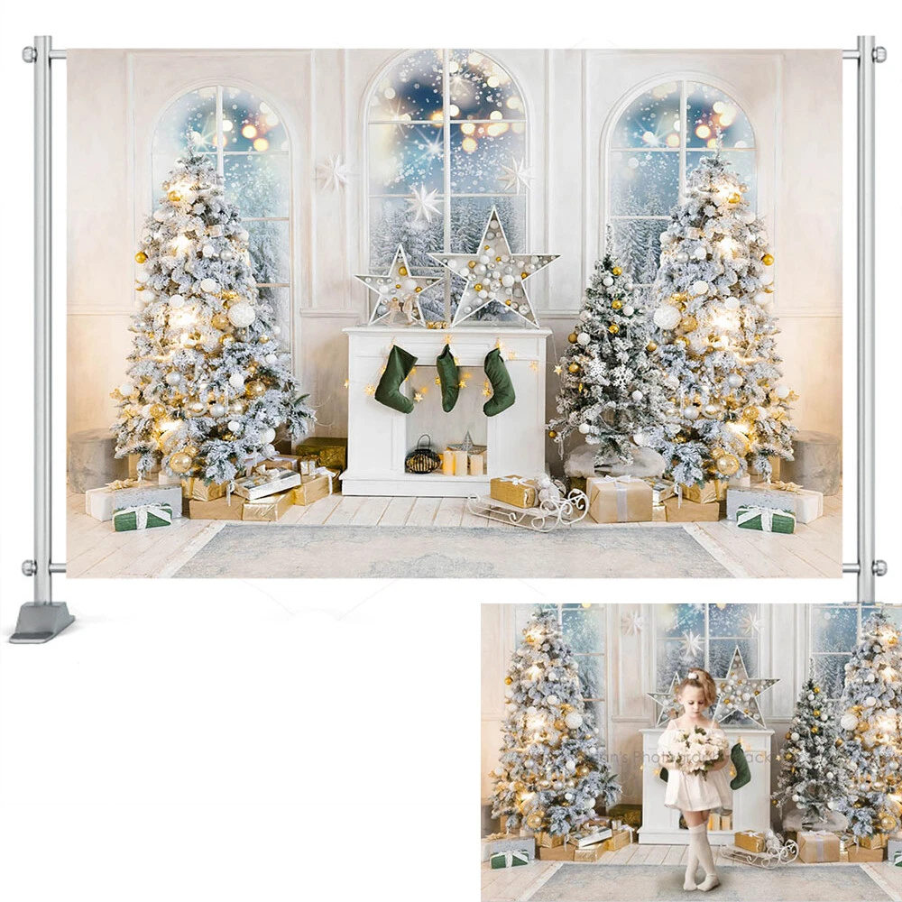 Christmas Portrait Backdrops