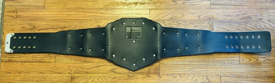 OFFICIAL PREMIER WORLD HEAVYWEIGHT CHAMPIONSHIP REPLICA WRESTLING BELT ...
