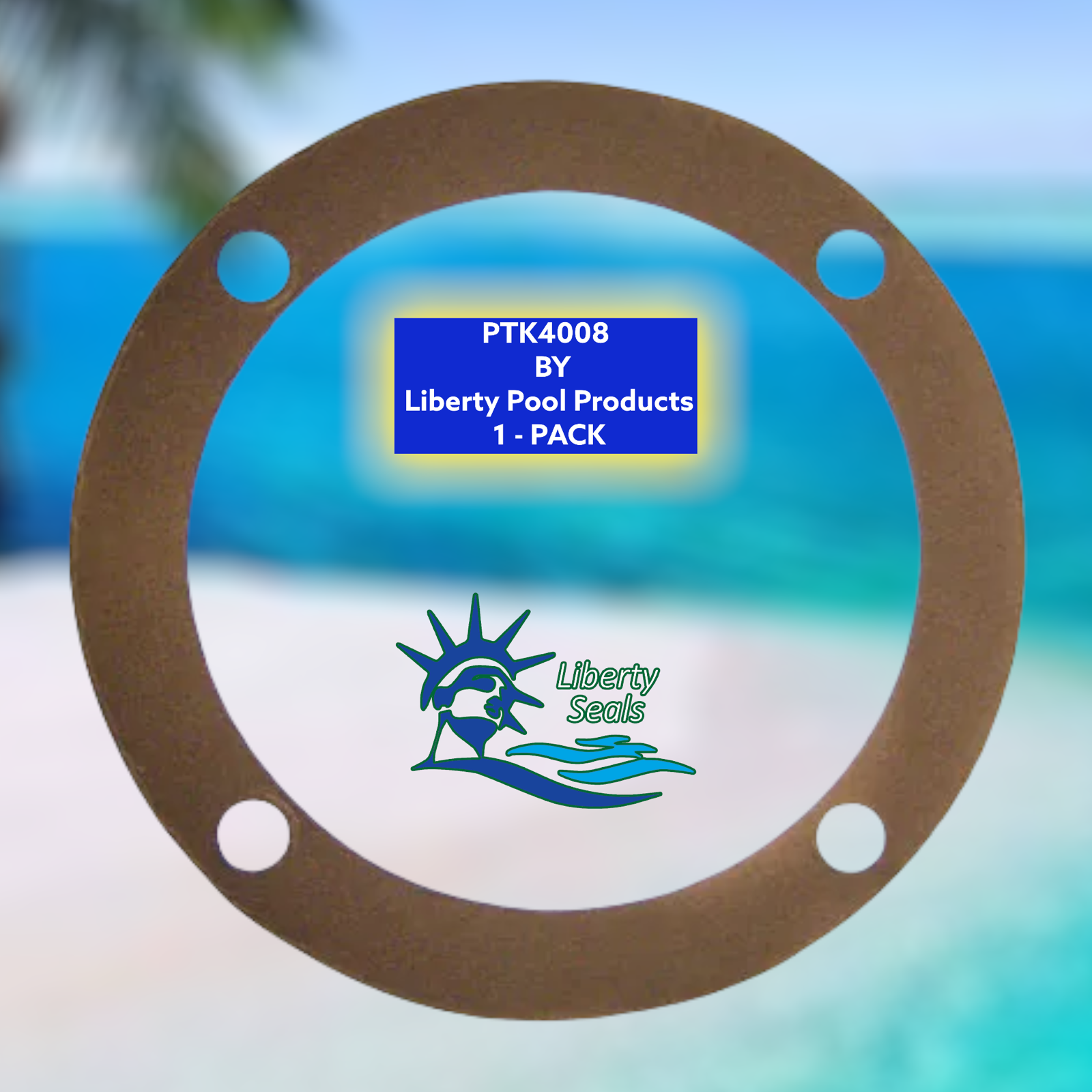 C20-009 Pump Gasket. Replacement PTK4008 By Liberty Seals For Sta Rite ...