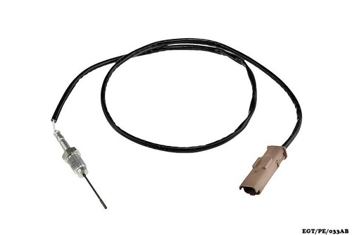 Scarico Sensore Temperatura per Peugeot 307 Sw 2.0Hdi 2004-08 1618LE | eBay