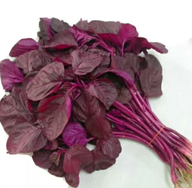 Lal Shak - Red Amaranth Callaloo Bangladeshi Salad Spinach Leaf Seeds ...