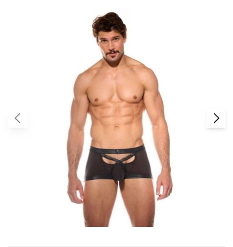 gregg homme BOXER BRIEF - C Ring | eBay