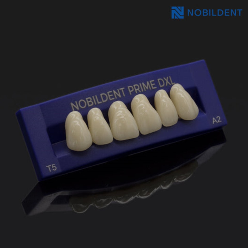 Prime Dental Acrylic Resin False Denture Teeth Anterior Posterior A00 ...