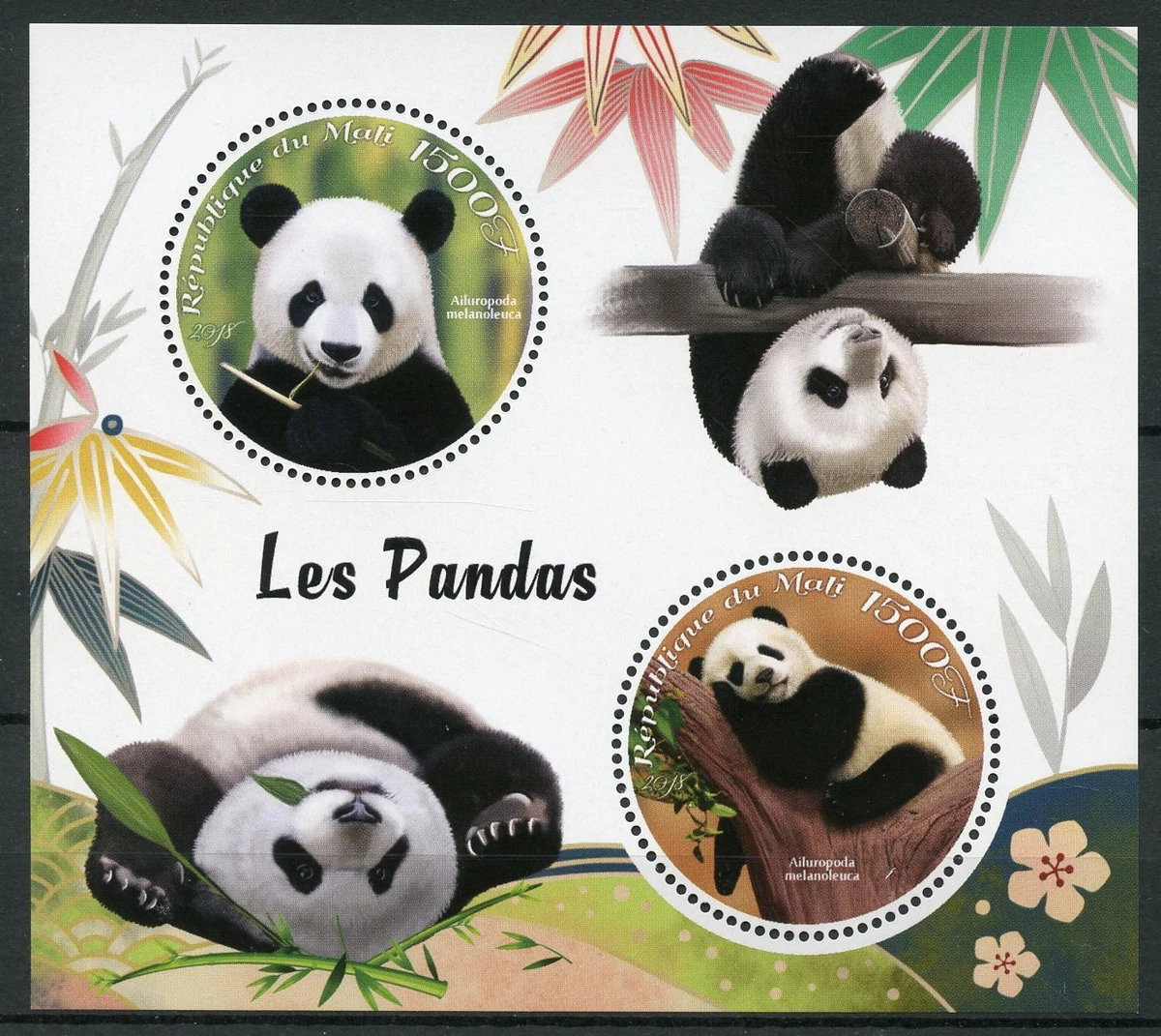 Giant Panda Life Cycle And Parts Of A Giant Panda Printable, 52% OFF