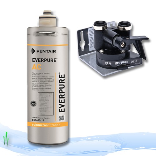 Everpure AC Water Filter Cartridge EV9601-12 with QL3B Head | eBay