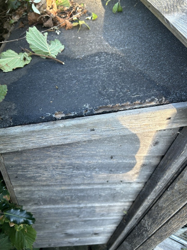 Hexagonal 5ft Aviary. Outdoor Bird House With Nest box | eBay UK