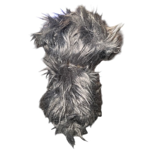 American Girl Doll NANEA'S DOG MELE Plush Poi Plush Pet Puppy Black ...