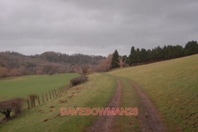 PHOTO COURSE OF THE RAILWAY NEAR LYDBROOK THE SITE OF LYDBROOK STATION ...