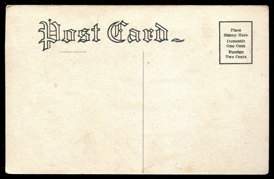 US POLITICS Postcard 1910s Humor Tariffs on Poultry | eBay