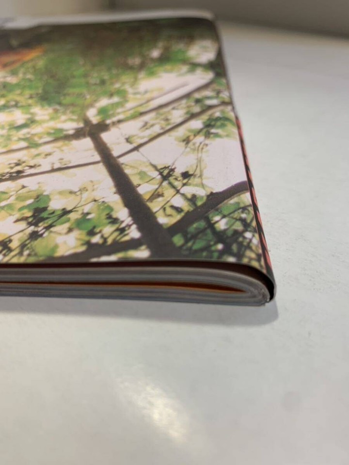 ASAMI YUMA KARAMI 39 PhotoBook Japanese Actress Magazine Mook | eBay