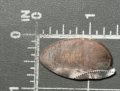 Error Misrolled Elongated Pressed Smashed Squished Smushed Flat Coin ...