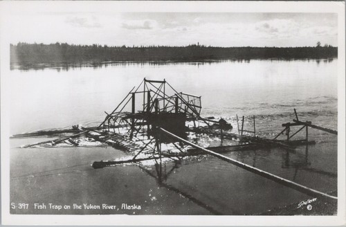 RPPC Postcard Fish Trap Yukon River Alaska AK | eBay