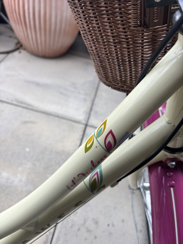 Dawes Lil Duchess 20-inch Bike Girls | eBay UK