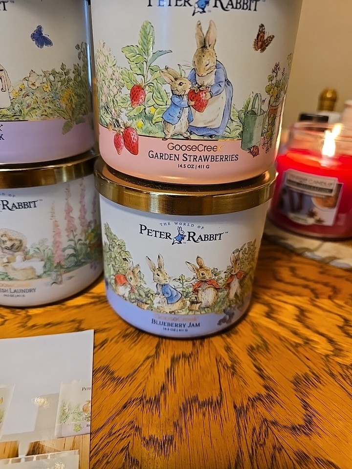 Goose Creek PETER RABBIT CANDLE COLLECTION 3-Wick Candles Set of 9 ...