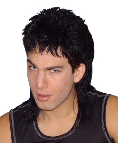 Mullet Wig Black Hair 70's 80's Bogan Men's Fancy Dress Costume Wig ...