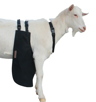 Anti Mating Anti Breeding OLOR Buck Apron™ with Harness - Goats/Sheep ...