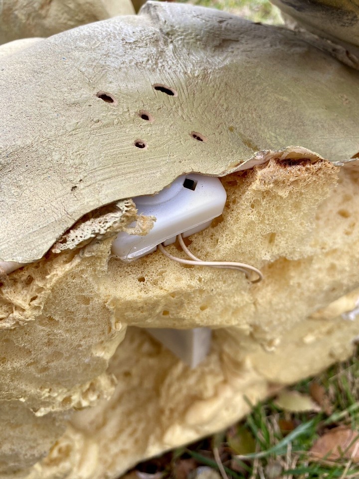 Morbid Industries Spirit Halloween 2005 Russian Sleep Experiment SPAZM ...