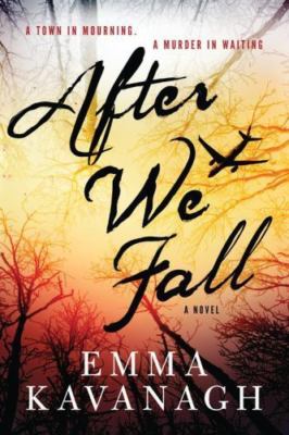 After We Fall by Kavanagh, Emma 9781492609193| eBay