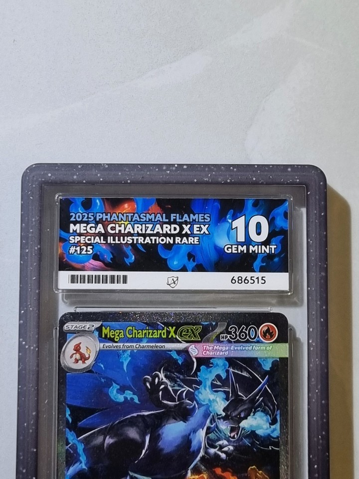 Mega Charizard X EX #125 SIR Perfect Subs Gem Mint 10 Ace Graded ...