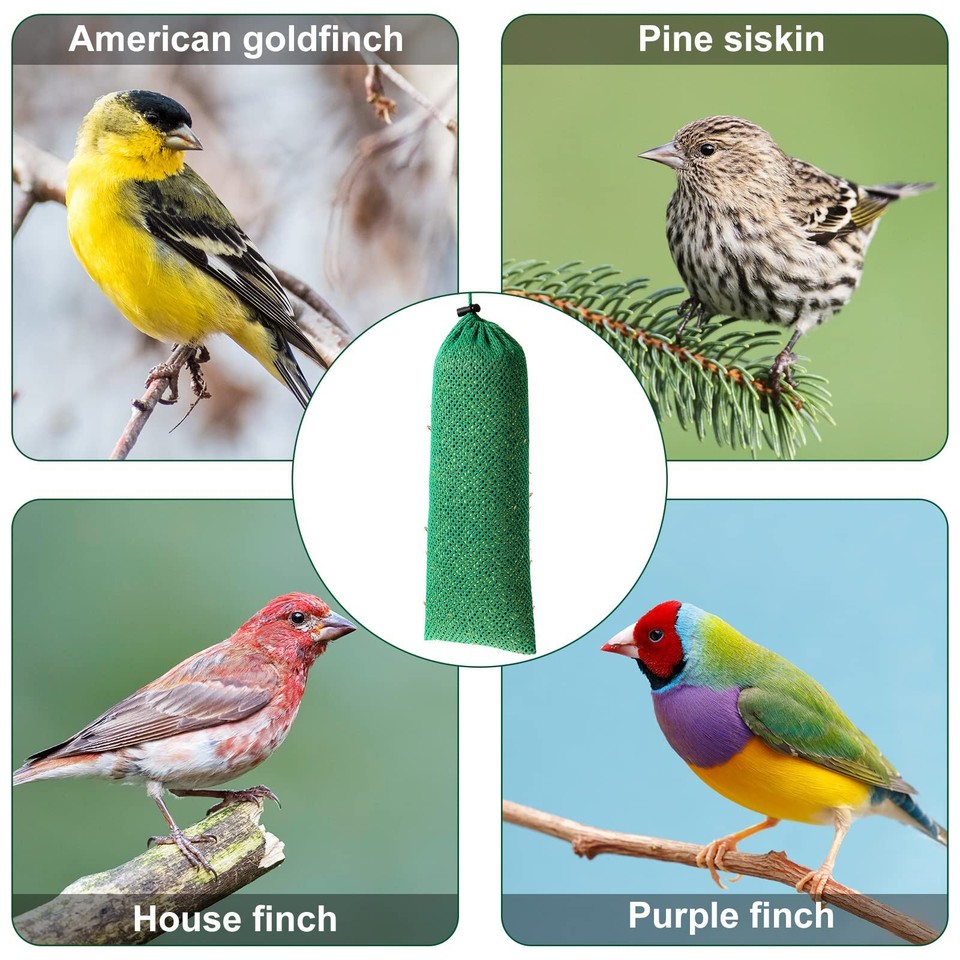 6 Pack Finch Sock Feeder Bird Feeder Seed Sack Mesh Feed Bag for Finch ...
