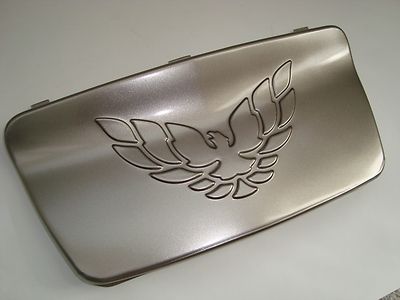 Paint Blemished Pontiac Firebird Trans Am Pewter Metallic Paint License ...