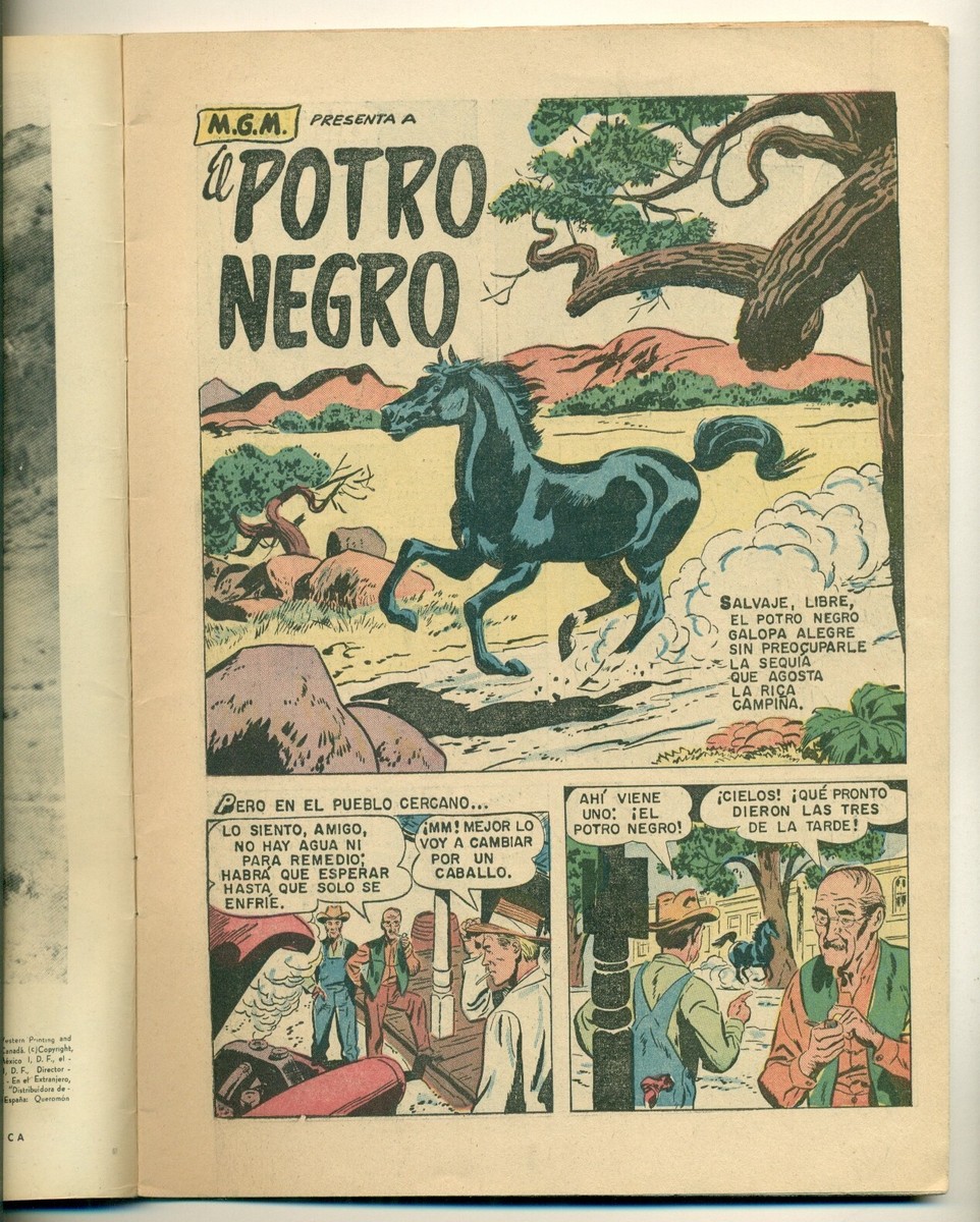Cómics De Caballos