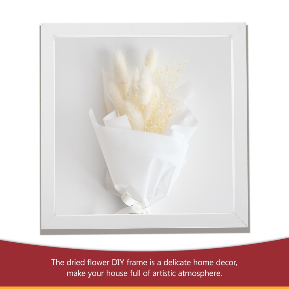 Diy Display Frame Double Sided Photo Pressed Flower Frames Picture ...