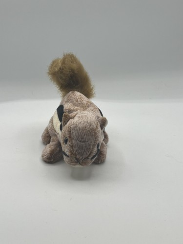 1999 TY Beanie Baby Chipper the Chipmunk Stuffed Animal Toy no Tag PE ...