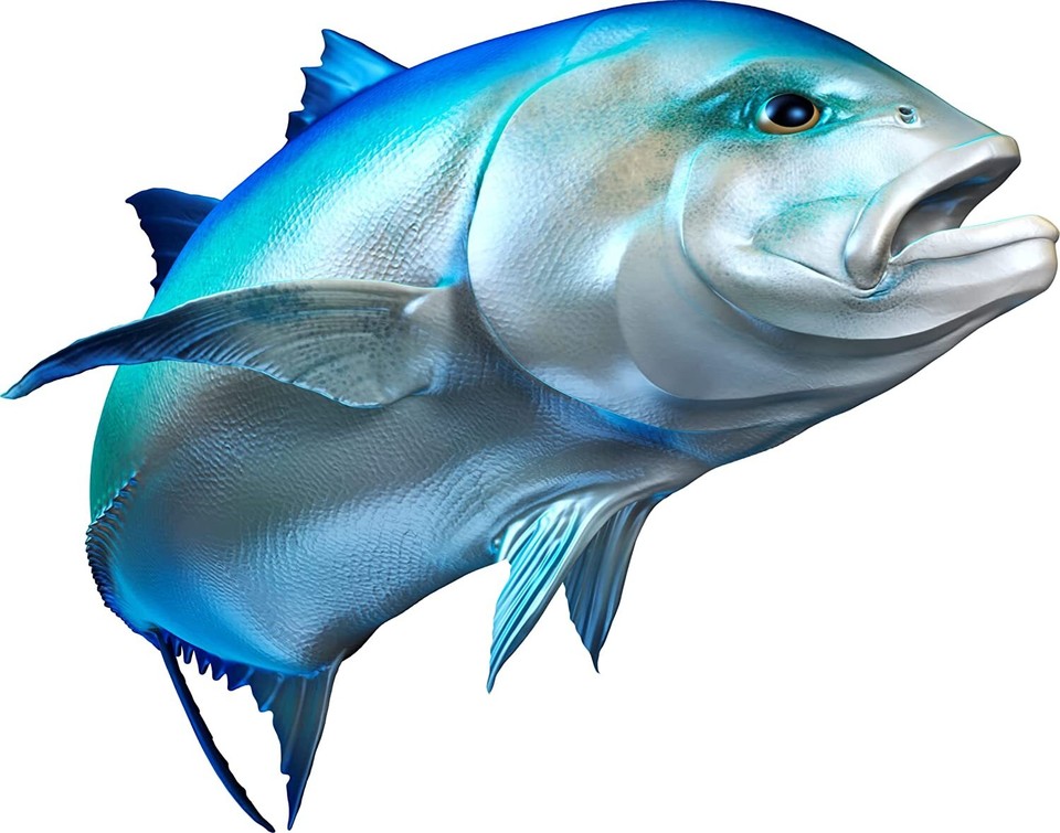 Giant Trevally Vinyl Sticker Fish Decals for Boat Car Vehicle Truck ...