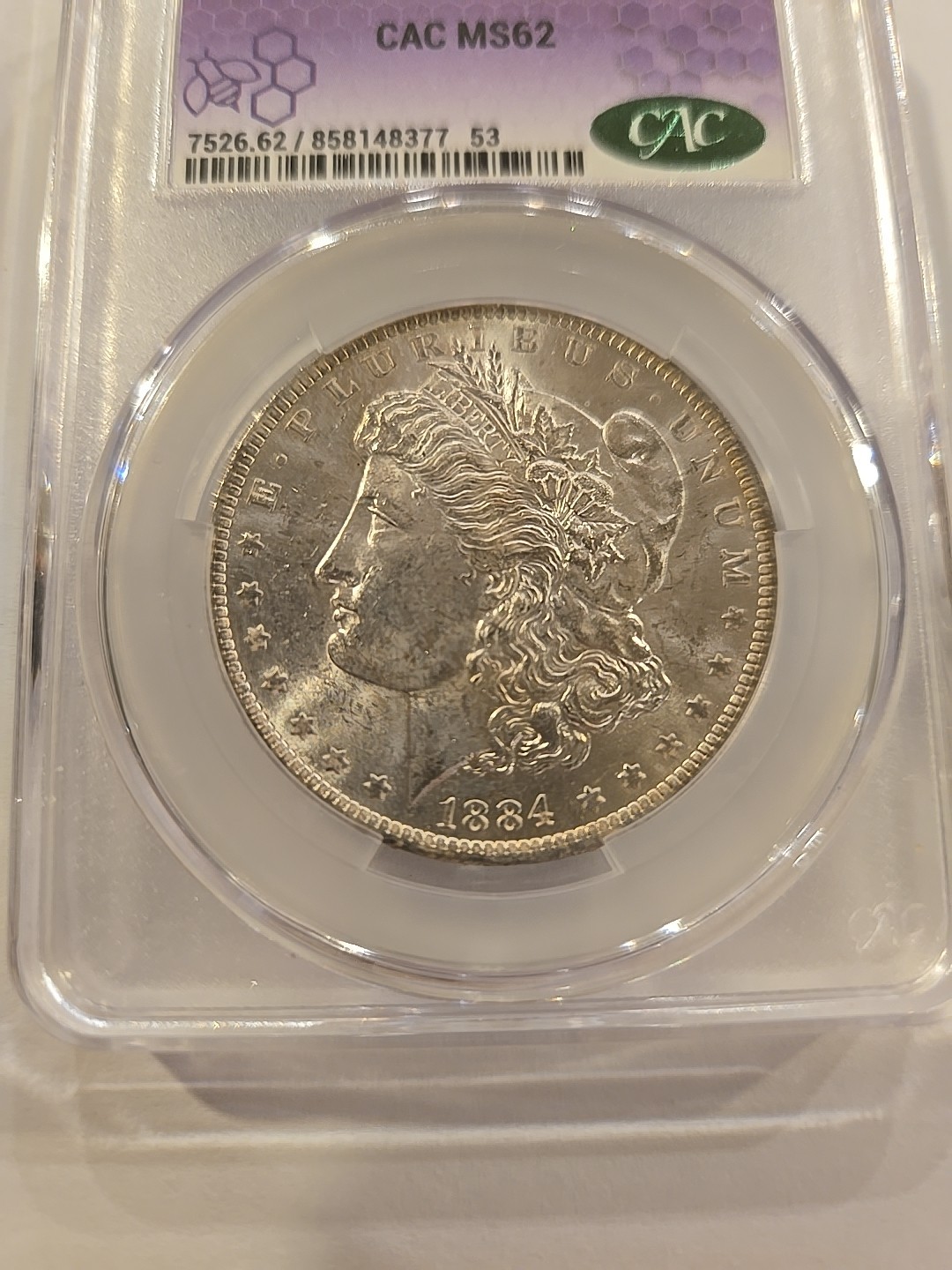 1884-O Morgan Silver Dollar CAC MS62 - New Orleans Mint Trader Bea ...