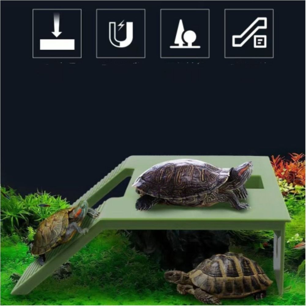 Double Ladder Turtle Resting Basking Platform Small Turtles Dock | eBay