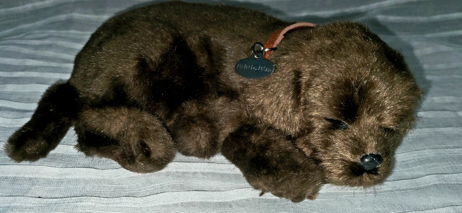Perfect Petzzz Chocolate LAB does Lifelike Breathing Battery Included ...