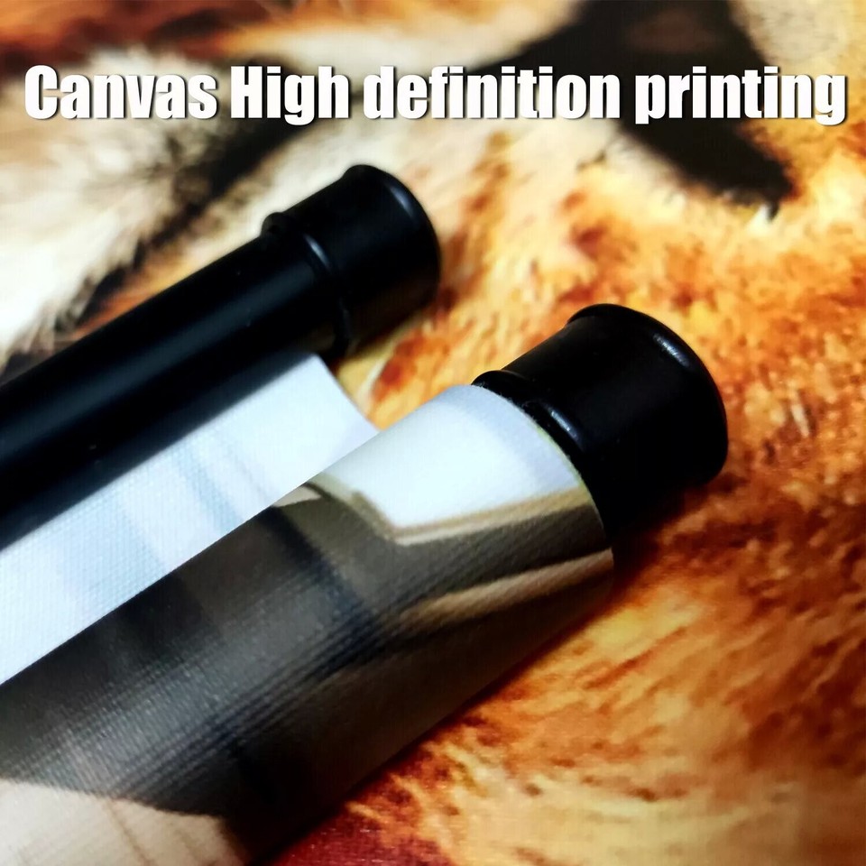 Scroll Poster Anime Girl Model Cosplay Cos Print Home Decor Wall 24"x36 ...