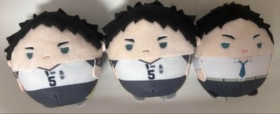 Haikyuu!! Fuwa Cororin Plush - Keiji Akaashi | eBay