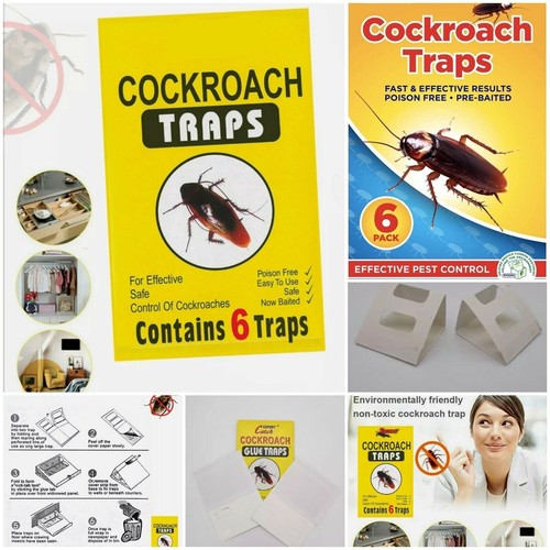 Insect Traps Cockroach Glue Easy Fast Use Pest Control Cockroach Trap ...
