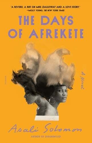 The Days of Afrekete by Asali Solomon: New 9781250858832| eBay