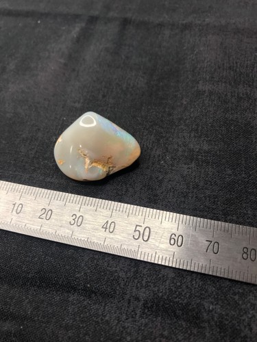 RARE Fossil shell Coober Pedy Opal 34 carat | eBay