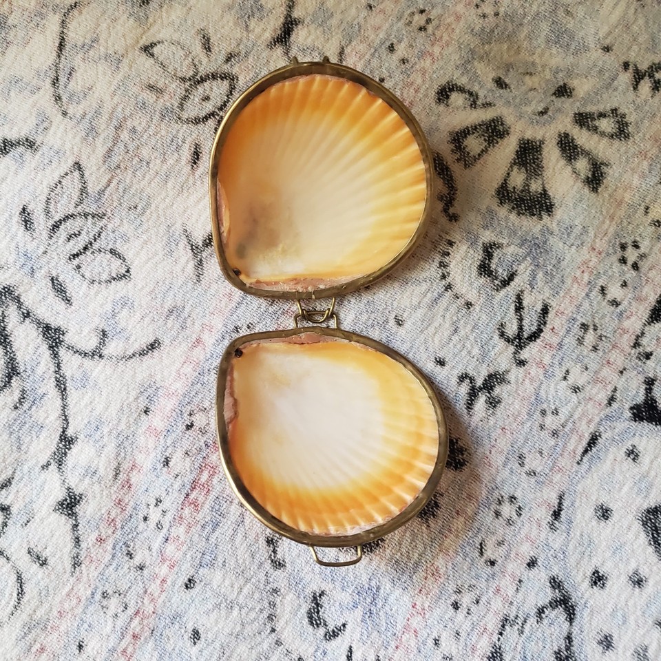 VINTAGE ORANGE SEA SHELL CLAM SHELL COMPACT COIN BRASS HINGED PURSE ...