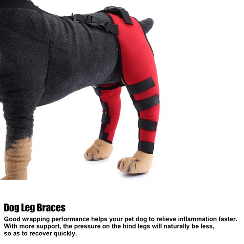 Dog Leg Braces Canine Hind Hock Wraps for Injury Sprain Protection ...