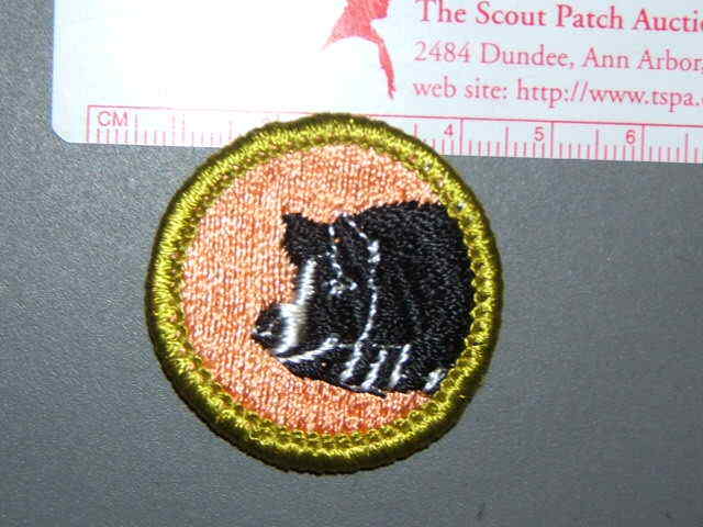 Boy Scout Merit Badge Hog Production circa '62-'71 2809M | eBay