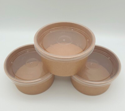 Food Takeaway Containers Disposable with Clear Lid 12/14/16oz Tubs ...