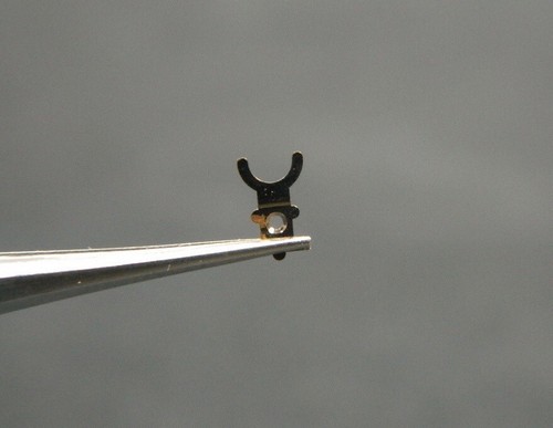 Movado 531-495 clavette a vis | eBay