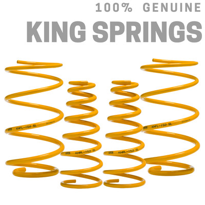 HOLDEN COMMODORE VZ V6 WAGON Front & Rear 30mm RAISED COIL SPRINGS ...